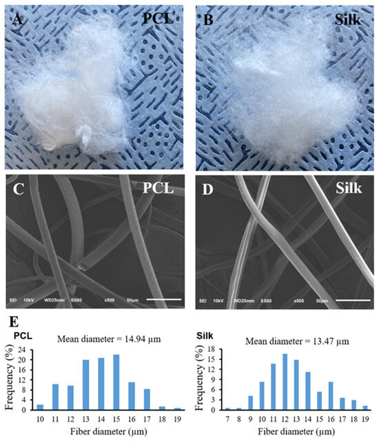 Comparison of Chondrocyte Behaviors Between Silk Microfibers and ...