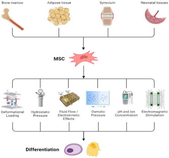 Augmentation of Deficient Bone Healing by Pulsed Electromagnetic Fields ...