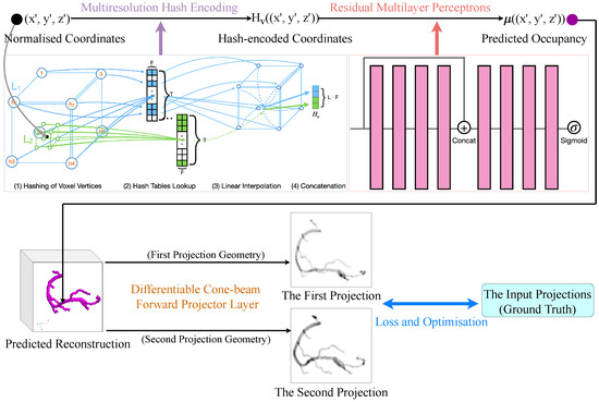 NeCA: 3D Coronary Artery Tree Reconstruction from Two 2D Projections via Neural Implicit ...