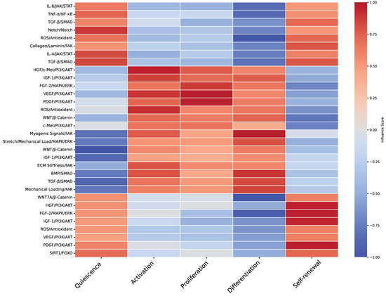 Integrating Physical and Biochemical Cues for Muscle Engineering ...