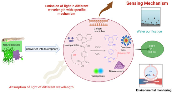 Advances in Natural-Product-Based Fluorescent Agents and Synthetic ...