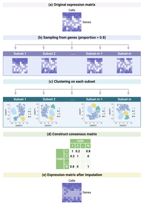 CCI: A Consensus Clustering-Based Imputation Method for Addressing Dropout Events in scRNA-Seq Data