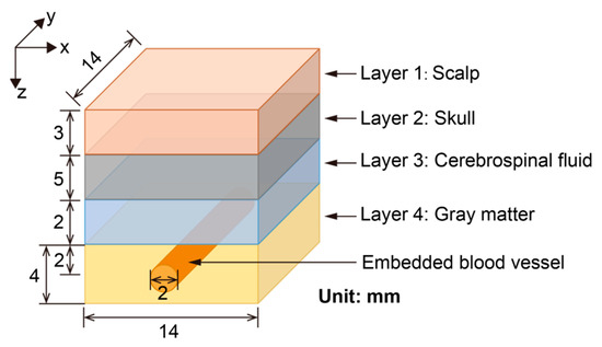 Skull Impact on Photoacoustic Imaging of Multi-Layered Brain Tissues ...