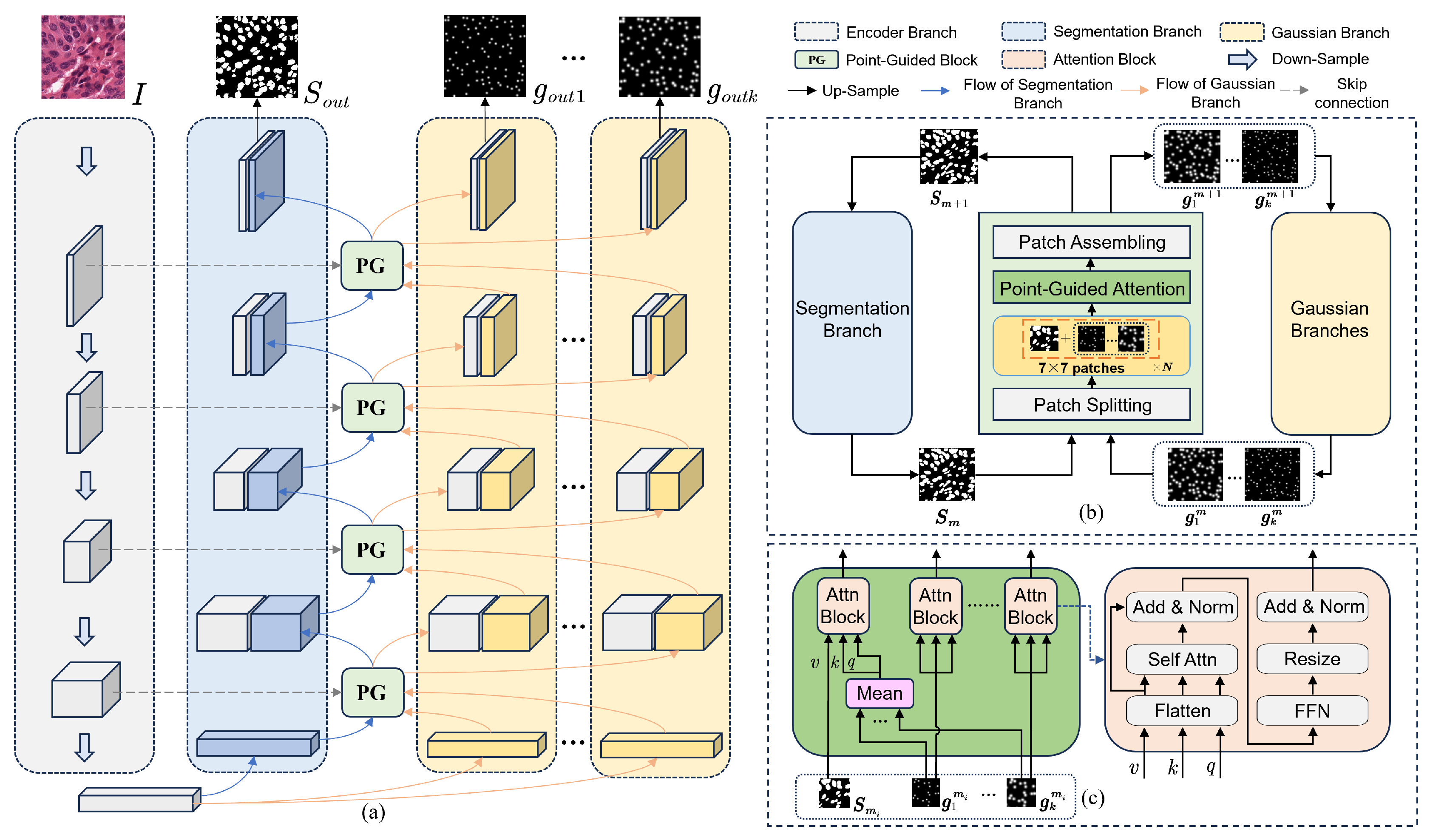Weakly Supervised Nuclei Segmentation with Point-Guided Attention and Self-Supervised Pseudo ...