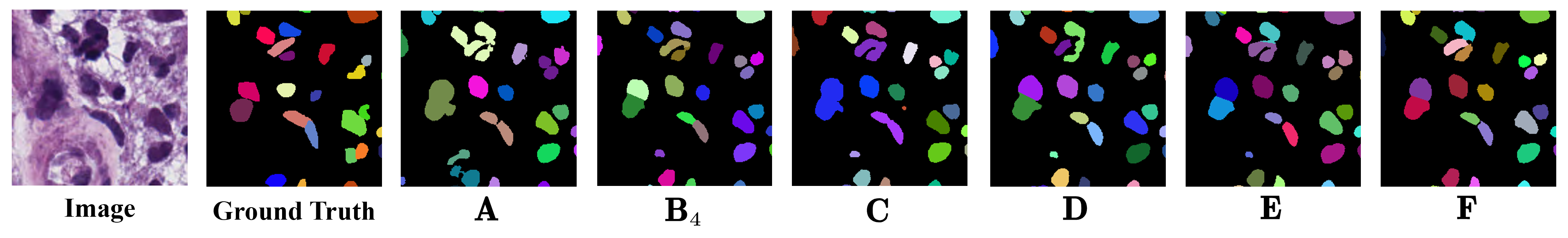 Weakly Supervised Nuclei Segmentation with Point-Guided Attention and Self-Supervised Pseudo ...