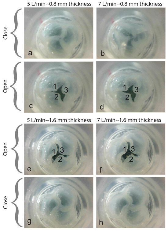 3D-Printing of Artificial Aortic Heart Valve Using UV-Cured Silicone ...
