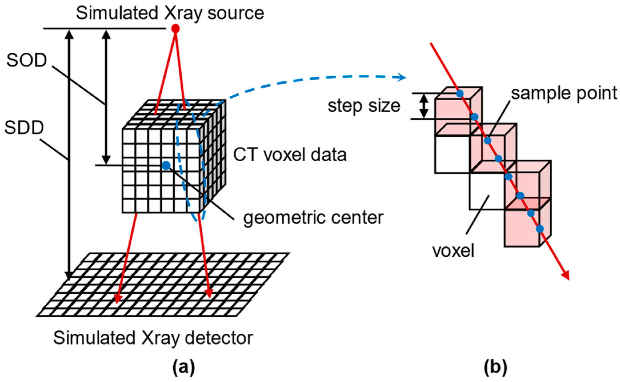 A Robust Method for Real Time Intraoperative 2D and Preoperative 3D X-Ray Image Registration ...