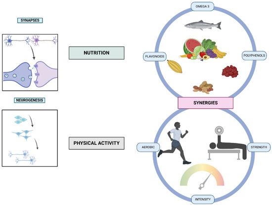 Neuro-Nutrition and Exercise Synergy: Exploring the Bioengineering of ...