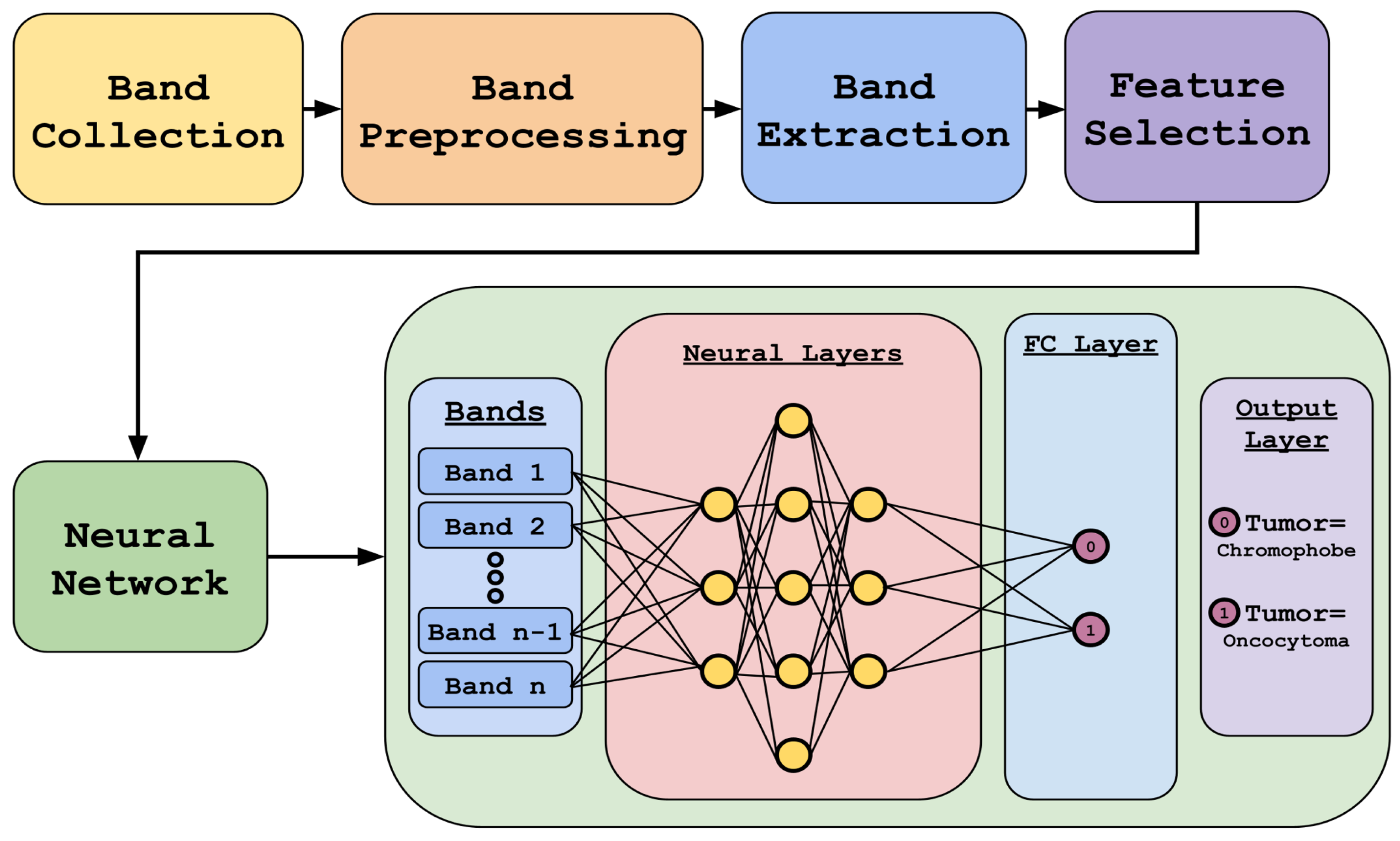 Exploring Feature Selection with Deep Learning for Kidney Tissue Microarray Classification Using ...