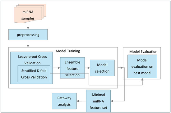 Machine Learning-Based Ensemble Feature Selection and Nested Cross-Validation for miRNA ...