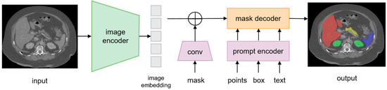 Research on Medical Image Segmentation Based on SAM and Its Future ...