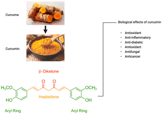 Curcumin-Loaded Drug Delivery Systems for Acute and Chronic Wound ...