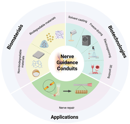 Peripheral Nerve Regeneration Reimagined: Cutting-Edge Biomaterials and ...