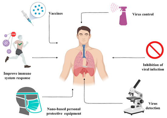 Biologics | Free Full-Text | Overview of COVID-19 Disease: Virology ...