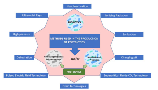 Involvement of Probiotics and Postbiotics in the Immune System Modulation