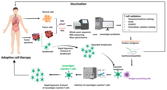 Neoantigens: The Novel Precision Cancer Immunotherapy