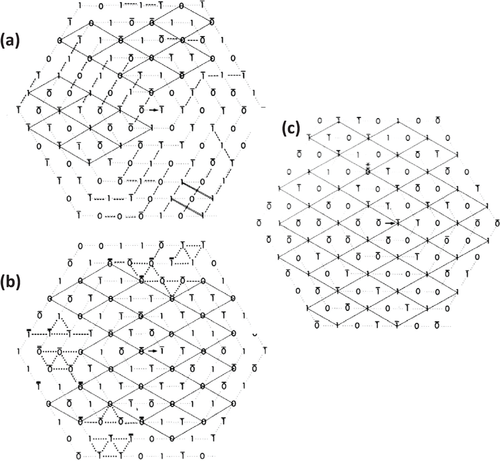 The Intriguing Dual Lattices of the Myosin Filaments in Vertebrate ...