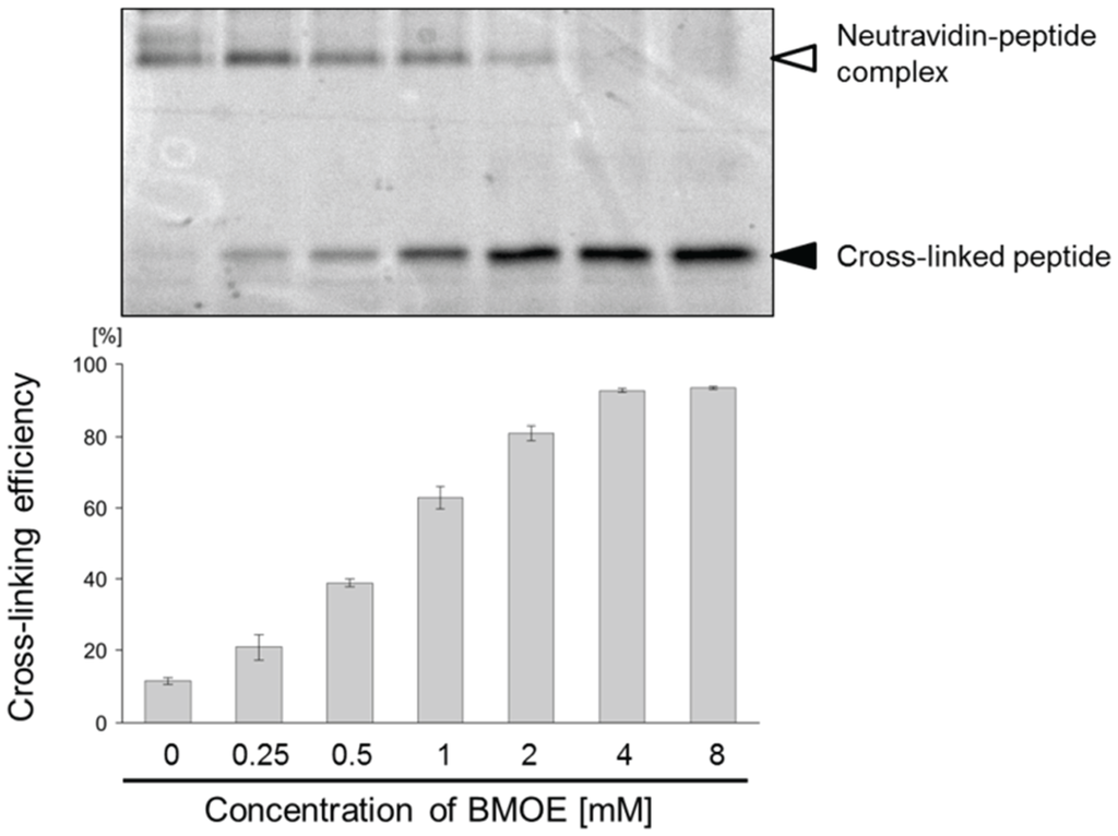 Easy and Rapid Binding Assay for Functional Analysis of Disulfide ...