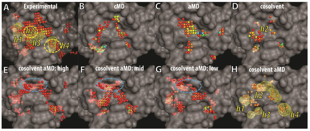 Enrichment of Druggable Conformations from Apo Protein Structures Using ...