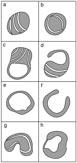The Role of Oocyte Organelles in Determining Developmental Competence