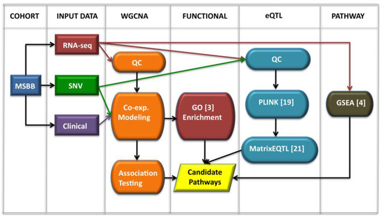 Biology | Free Full-Text | Integrated Systems Approach Reveals ...