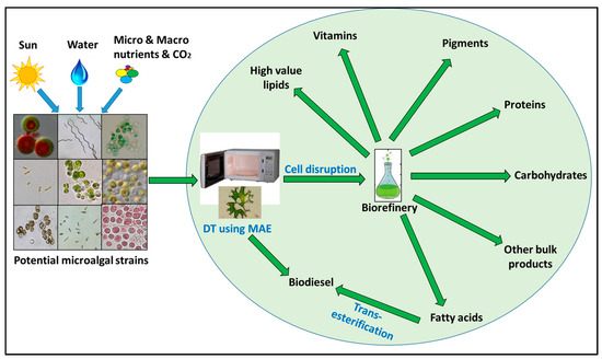 Microwave-Assisted Extraction for Microalgae: From Biofuels to Biorefinery