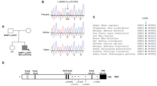 A Rare De Novo RAI1 Gene Mutation Affecting BDNF-Enhancer-Driven ...