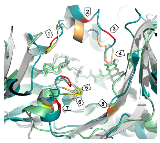 Two-Component FAD-Dependent Monooxygenases: Current Knowledge and ...
