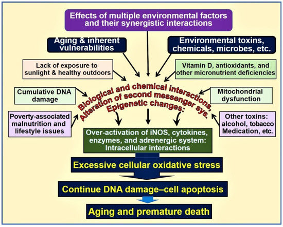 Vitamin D Deficiency: Effects on Oxidative Stress, Epigenetics, Gene ...