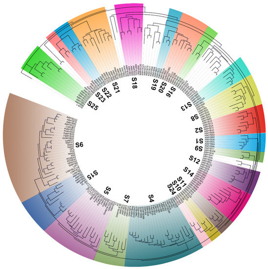MYB Transcription Factors as Regulators of Secondary Metabolism in Plants