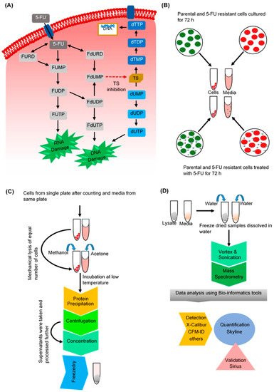 A High-Resolution Mass Spectrometry-Based Quantitative Metabolomic ...