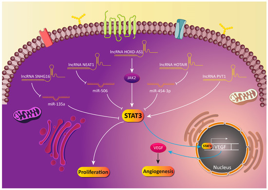 STAT3 Pathway in Gastric Cancer: Signaling, Therapeutic Targeting and Future Prospects