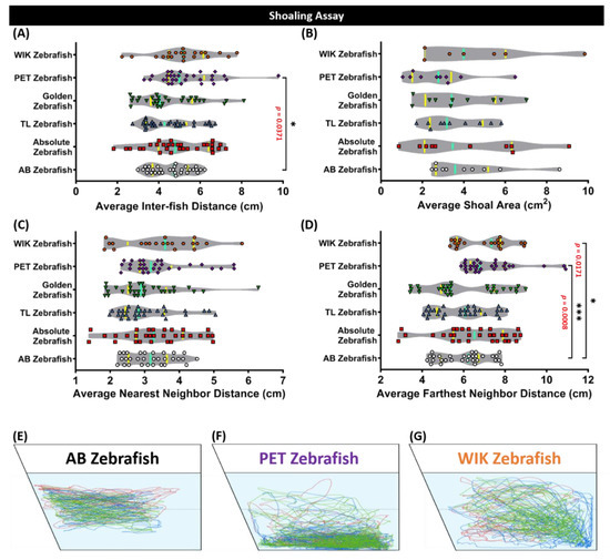 Which Zebrafish Strains Are More Suitable to Perform Behavioral Studies ...