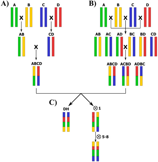 The Dawn of the Age of Multi-Parent MAGIC Populations in Plant Breeding ...