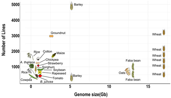 The Dawn of the Age of Multi-Parent MAGIC Populations in Plant Breeding ...