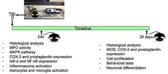 Biology | Free Full-Text | Formyl Peptide Receptor 1 Signaling in Acute ...