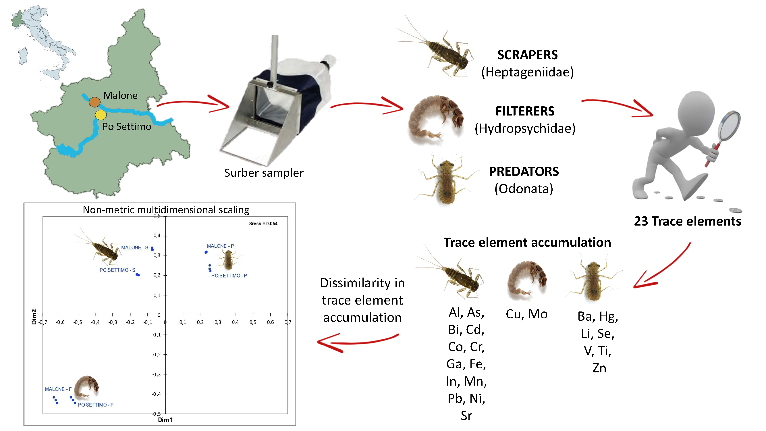Biology | Free Full-Text | Functional Feeding Groups of Aquatic Insects ...