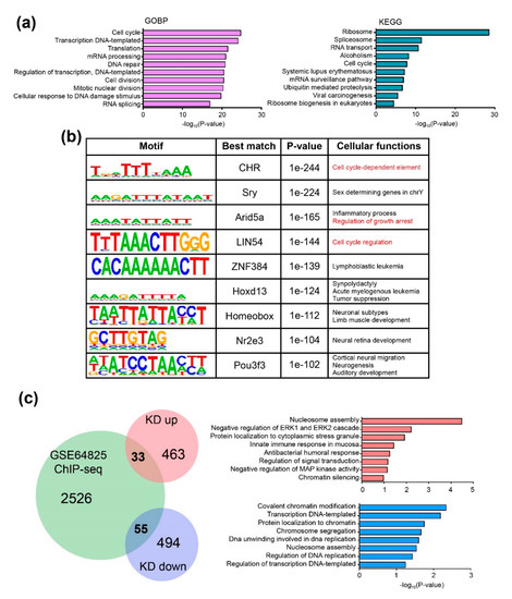 ATP-Dependent Chromatin Remodeler CHD9 Controls the Proliferation of ...