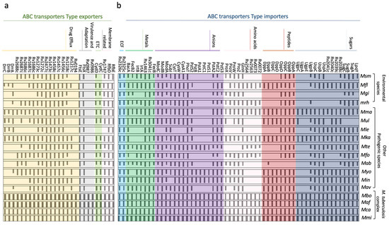 The ATP-Binding Cassette (ABC) Transport Systems in Mycobacterium ...