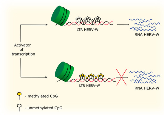 The Relationship of the Mechanisms of the Pathogenesis of Multiple ...