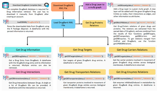 Multipath: An R Package to Generate Integrated Reproducible Pathway Models