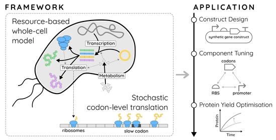 Biology | Free Full-Text | A Modelling Framework Linking Resource-Based ...