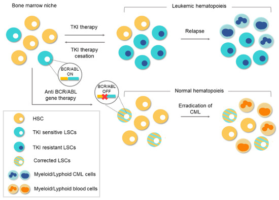 Future Approaches for Treating Chronic Myeloid Leukemia: CRISPR Therapy