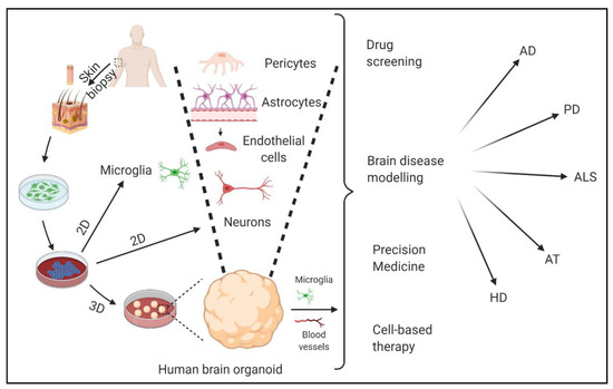 Crosstalk between Different DNA Repair Pathways Contributes to ...
