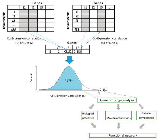 Gene Co-Expression Analysis of Human RNASEH2A Reveals Functional ...