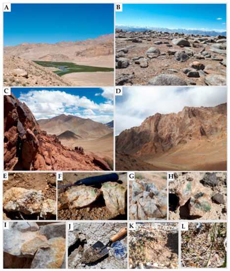 Connectivity of Edaphic and Endolithic Microbial Niches in Cold ...