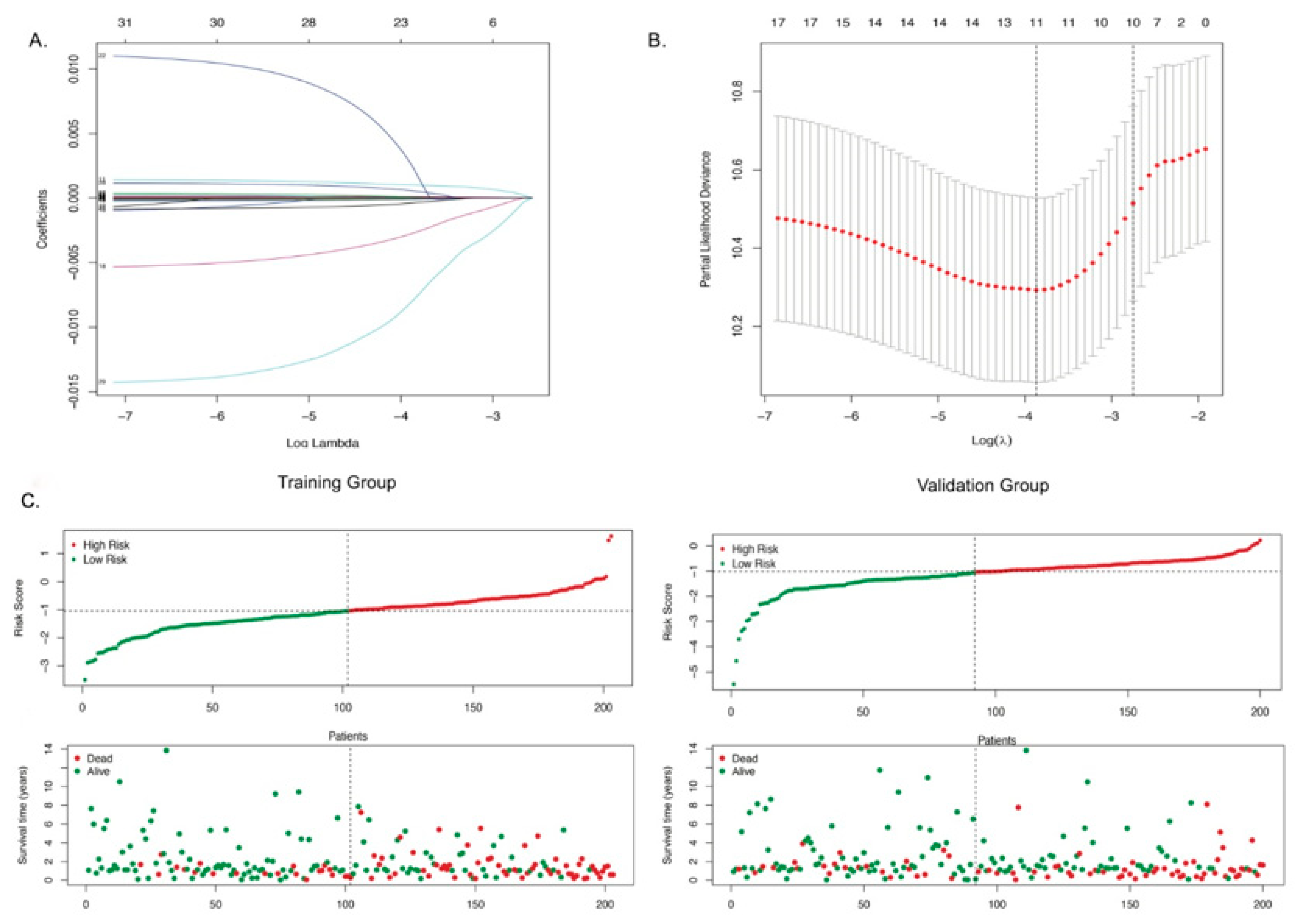 Biology | Free Full-Text | Identification of an 11-Autophagy-Related ...