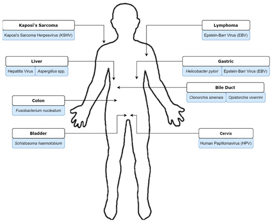 Pathogens and Carcinogenesis: A Review