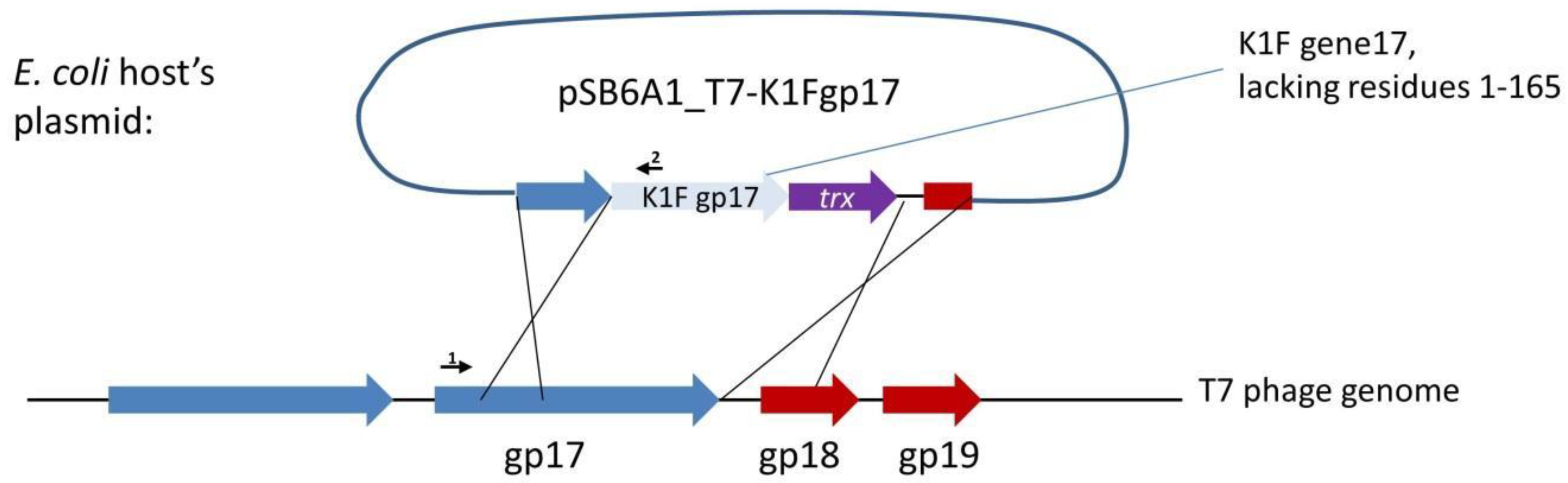 Analysing Parallel Strategies to Alter the Host Specificity of ...
