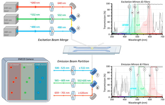 Construction of a Three-Color Prism-Based TIRF Microscope to Study the ...